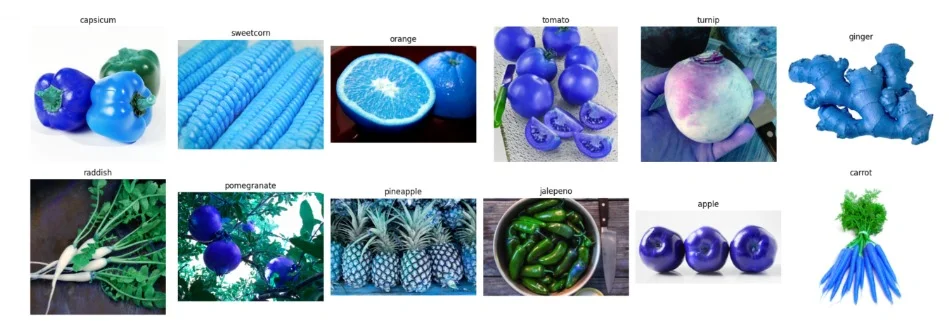 Automated Fruit & Vegetable Identification Model: Tutorial
